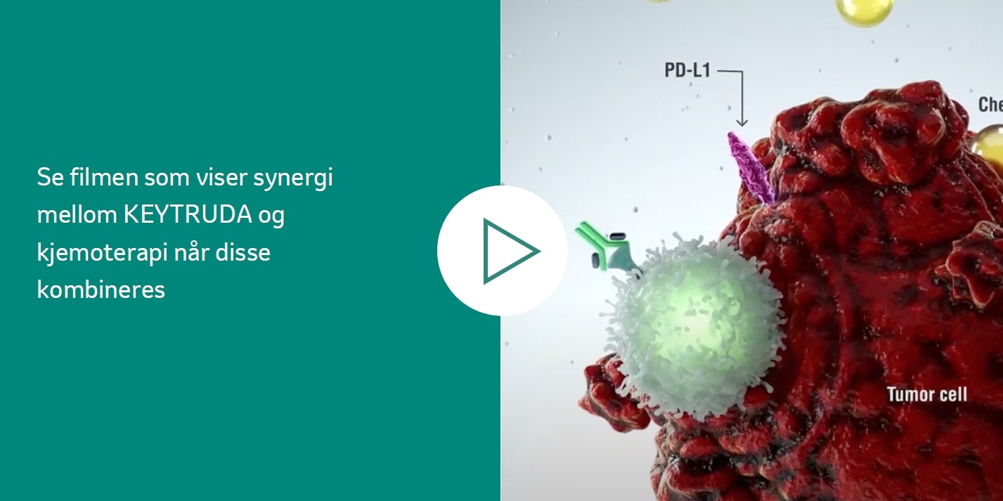 Videoer - MSD Innsikt